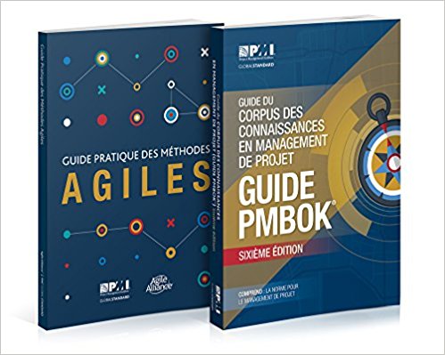 Connaissez-vous le guide de référence « Process Groups: A Practice ...